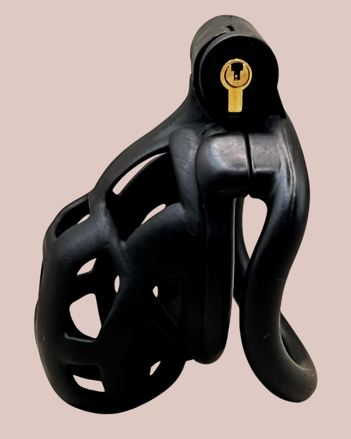 Micro Chastity Cages – House of Chastity