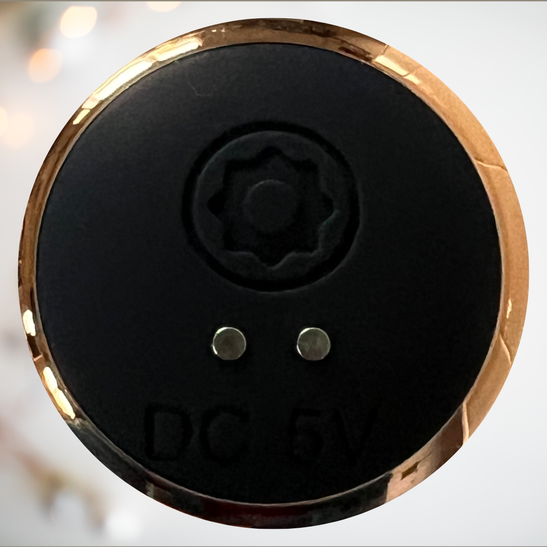 Anal Bead Style Vibrator – House of Chastity