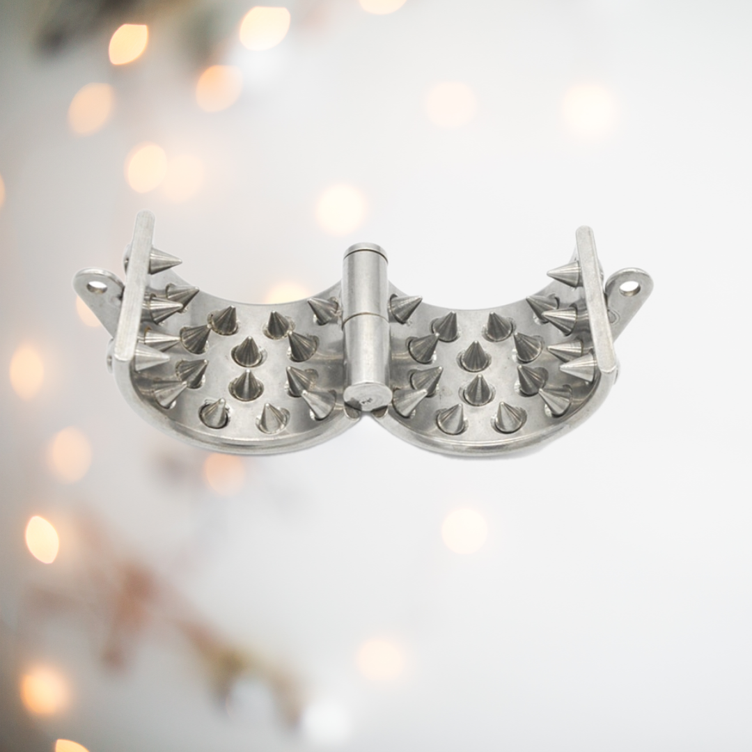 Kali's Teeth Metal Chastity Cage – House of Chastity